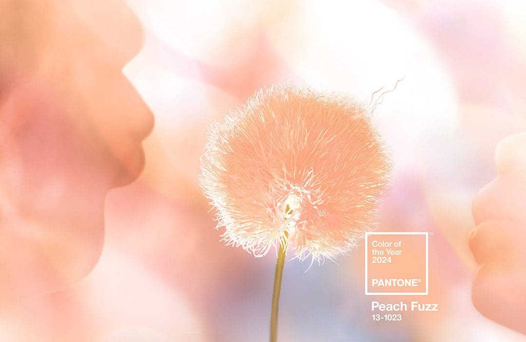 Peach Fuzz announced as the colour of 2024 | Print Monthly